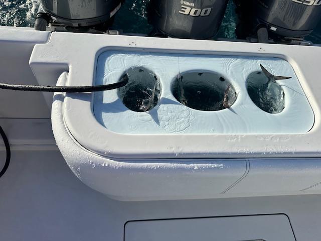 Custom Tuna Tubes 3 bank – Naughty Rooster Fishing